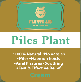 Piles Plant Cream 50ml | Natural Itching & Piles Treatment Cream